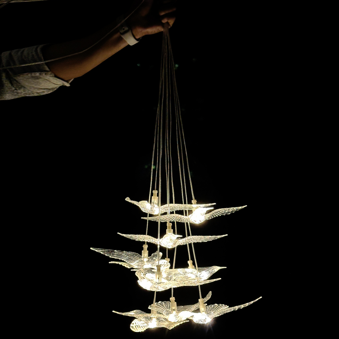 Pack Of 10 Acrylic LED Birds For All Kinds Of Indoor and Outdoor Decor ...